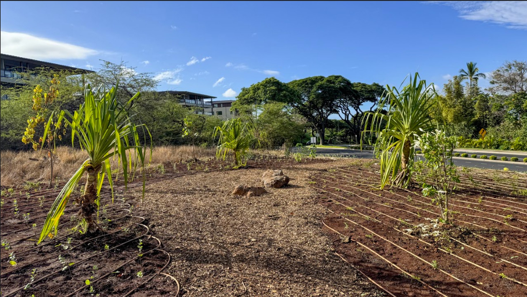 Ledcor Maui releases Final Environmental Impact Statement for proposed ...